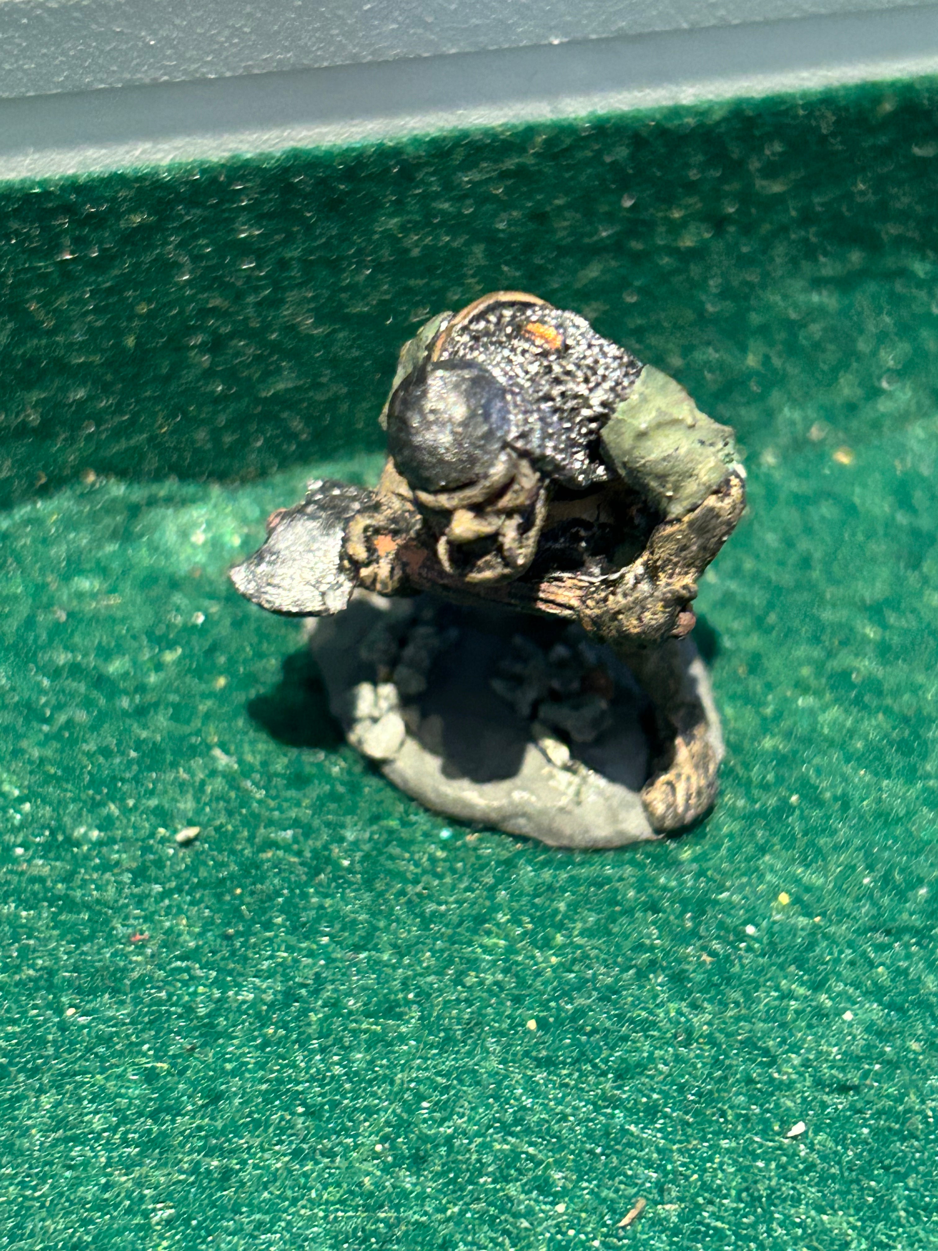 Citadel - Pre Slotta - Warhammer - C15 armoured Orc bodyguard - with l ...